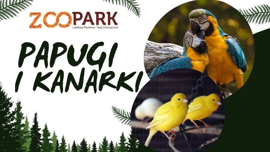 Kolorowe PAPUGI i rozśpiewane KANARKI - Aktualności - ZOOPARK Lubelska Wystawa Zoologiczna